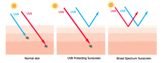 What SPF Should You Use? Here’s What Dermatologists Recommend
