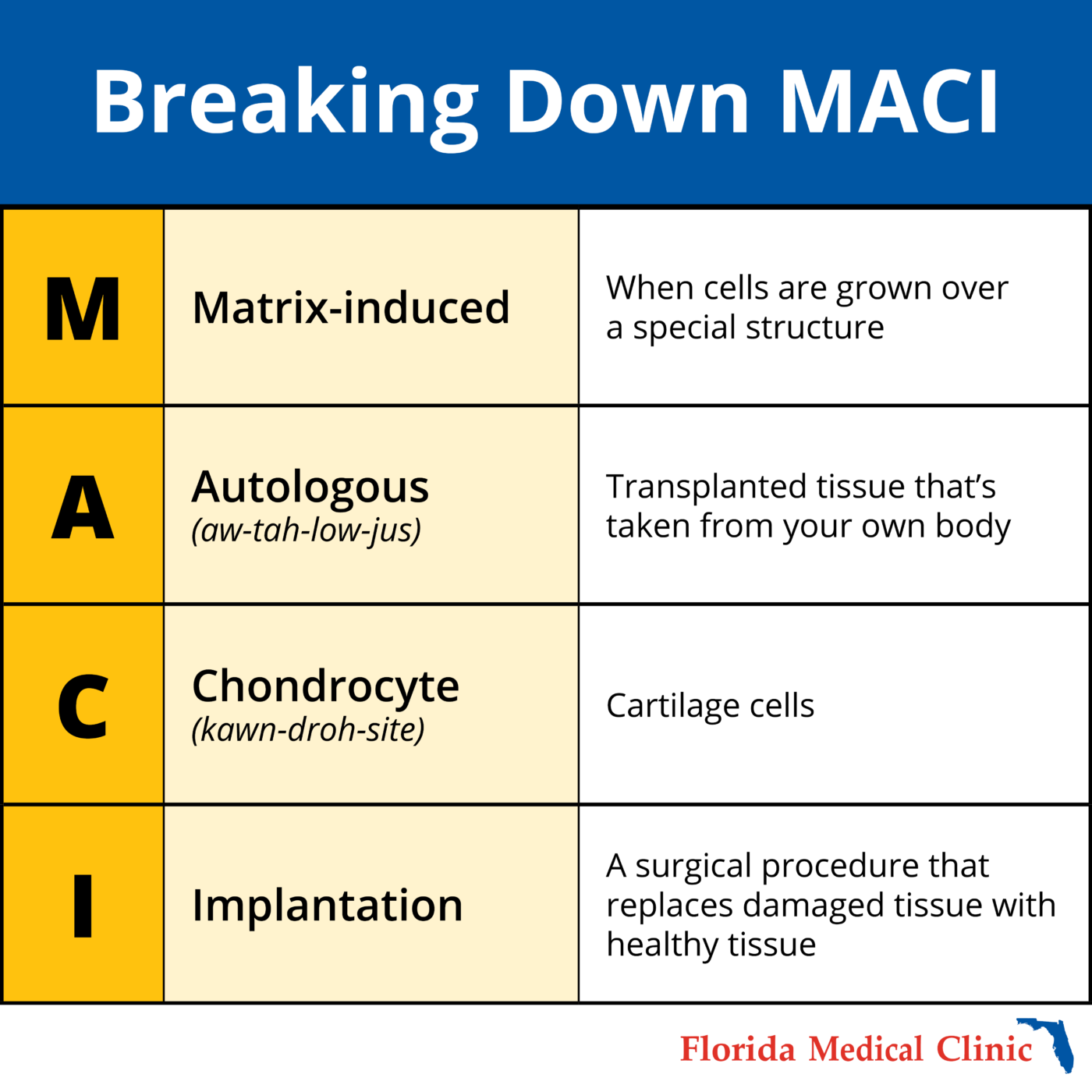 An Athlete’s Guide to Knee Cartilage Damage & Repair - Dr. Brian Domby